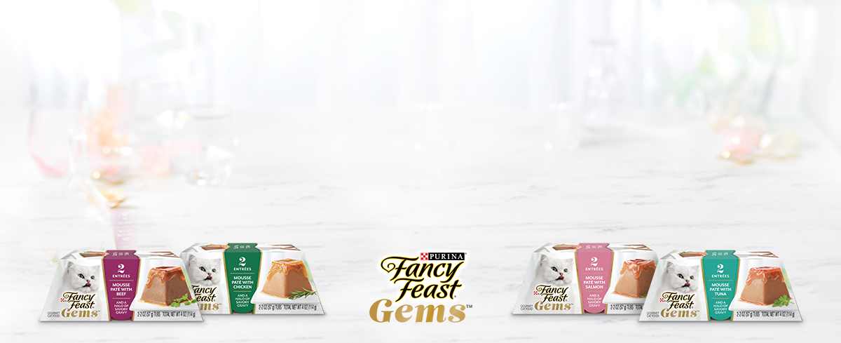 Order Fancy Feast Gems in Bulk | My Fancy Feast